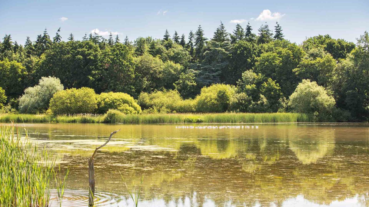 Mowbray - Built Today, Designed For Tomorrow